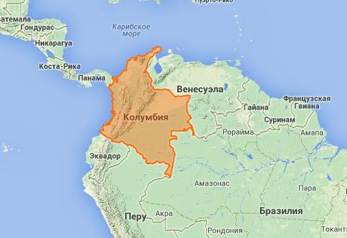 Rhinemys rufipes (Красная бокошейная черепаха) - Черепахи.ру