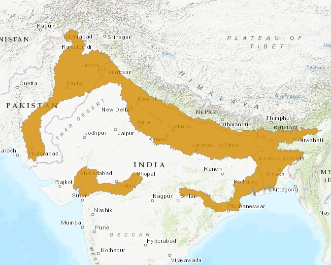 Pangshura tecta (Индийская кровельная черепаха) - Черепахи.ру