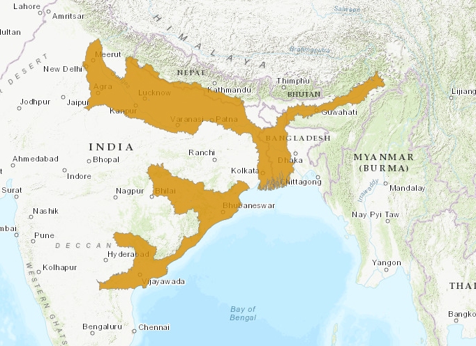 Pangshura tentoria (Индийская тентовая черепаха) - Черепахи.ру