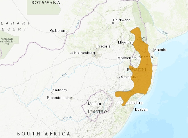 Kinixys natalensis (Натальская киникса) - Черепахи.ру