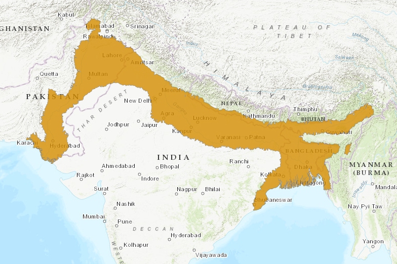 Nilssonia hurum (Глазчатый трионикс) - Черепахи.ру