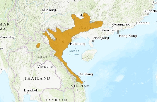 Palea steindachneri (Бахромчатая черепаха) - Черепахи.ру