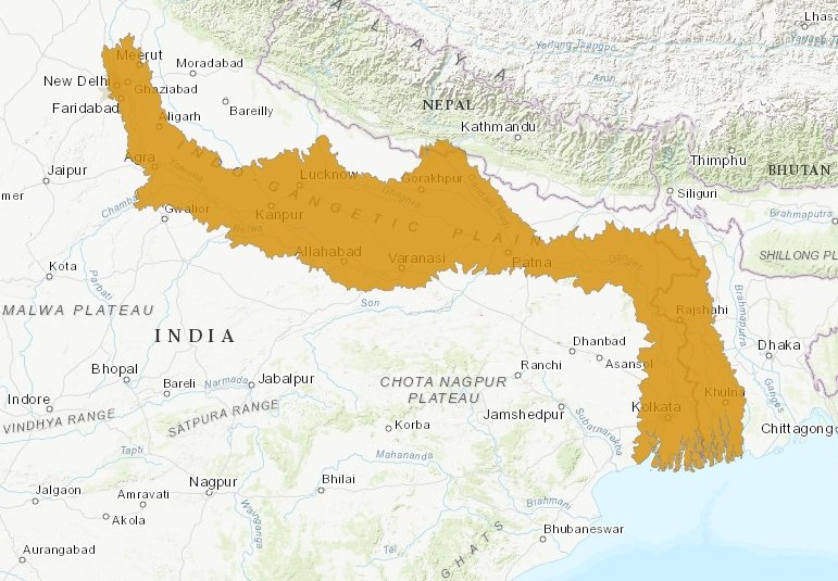 Batagur kachuga (Бенгальская кровельная черепаха) - Черепахи.ру